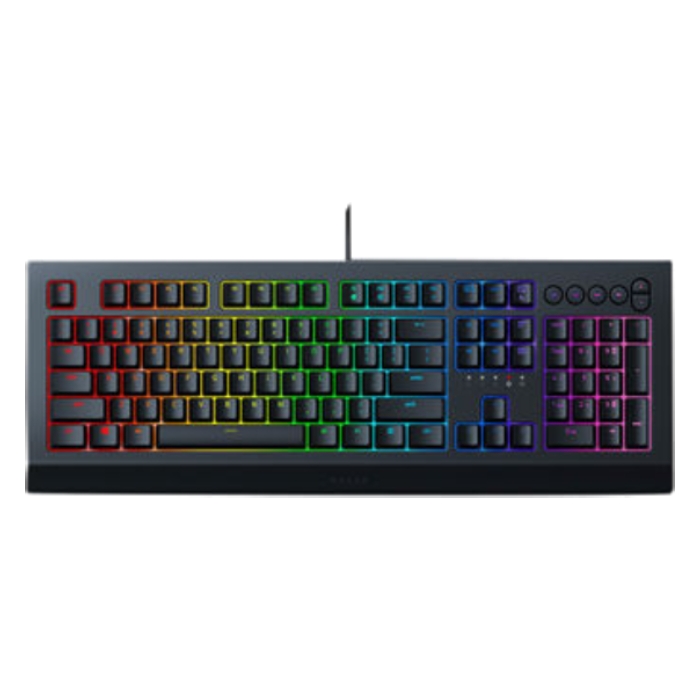 Keyboard Ornata V2 - Arabic Layout price in Saudi Arabia | Noon Saudi ...