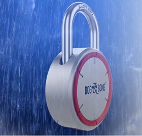 Dog & Bone LockSmart Keyless Lock Bluetooth Padlock - Silver Price in ...