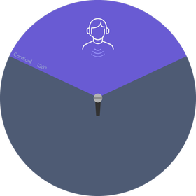 512 Audio Tempest Large Diaphragm Studio Condenser USB Microphone for ...